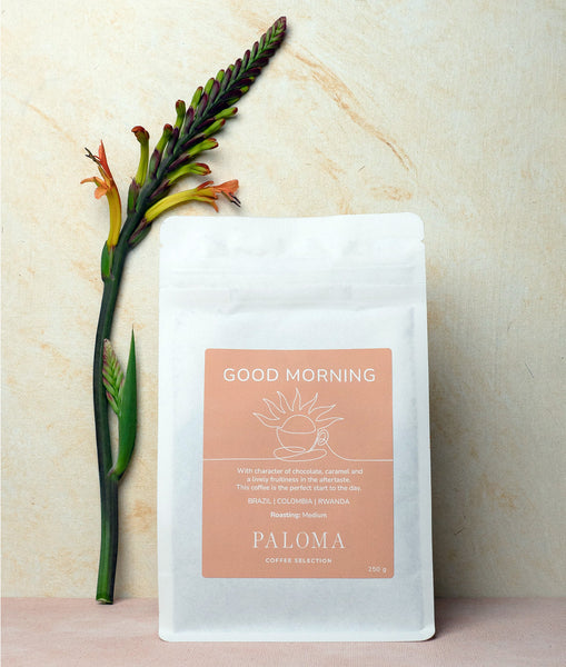 GOOD MORNING – Paloma Tea Company