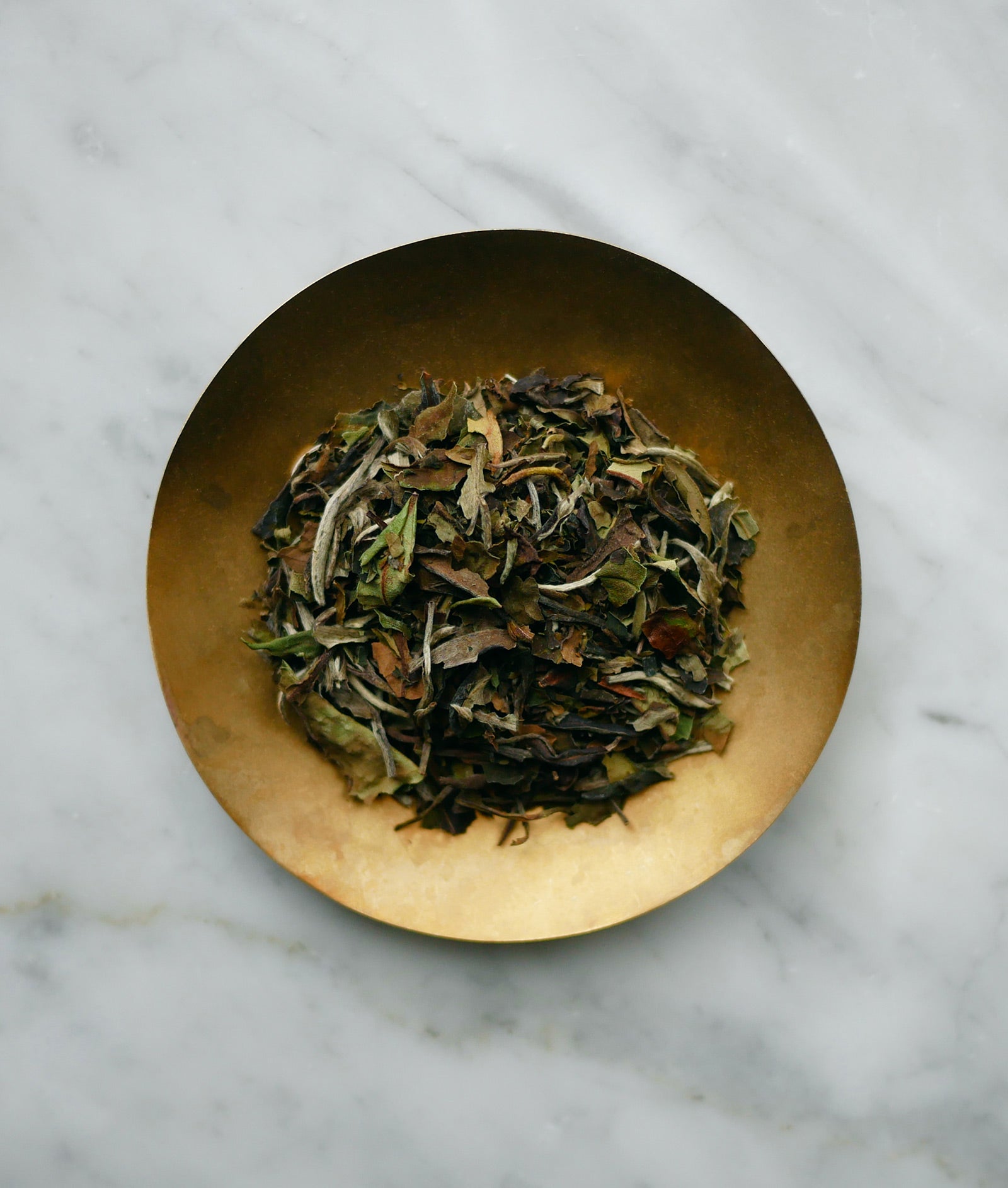 Bai Mu Dan – Paloma Tea Company